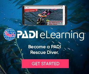 eLearning_Rescue_divers_bnrs300x250 | Blue Magic Scuba