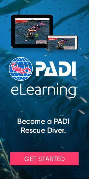 Stress and Rescue Diver Course PADI | Blue Magic Scuba